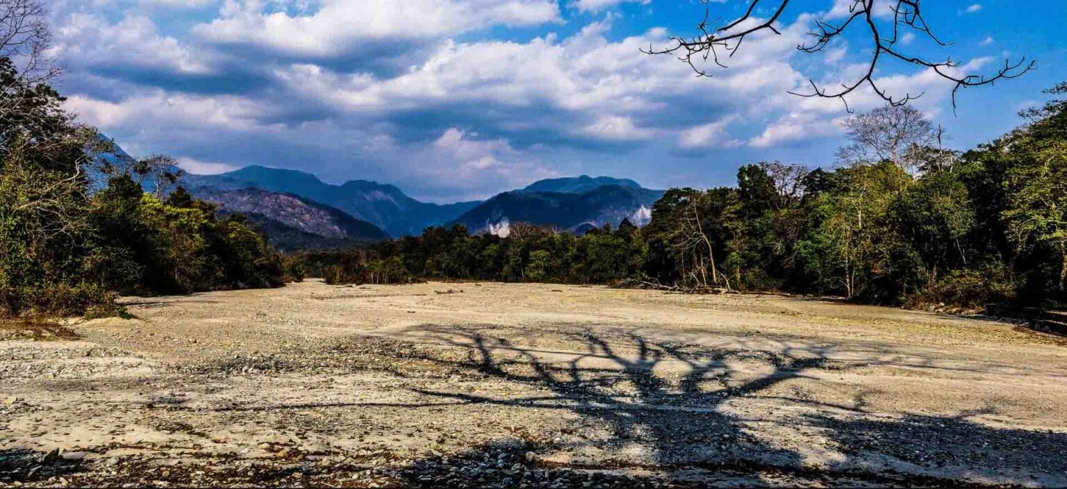 Photography Basics for Beginners: A Step-by-Step Complete Guide